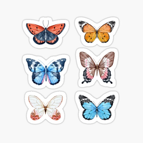 "Butterfly Pack Bundle" Sticker for Sale by SunshineMeow | Redbubble