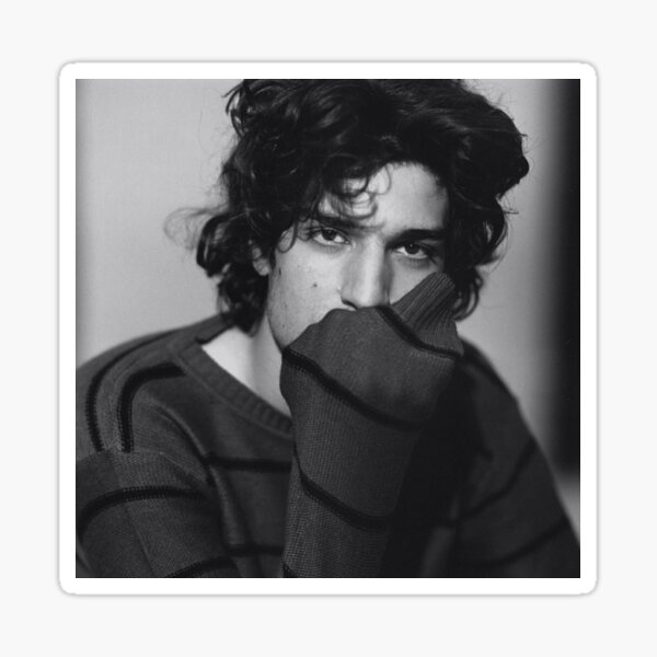 "Louis" Sticker for Sale by vardehali | Redbubble