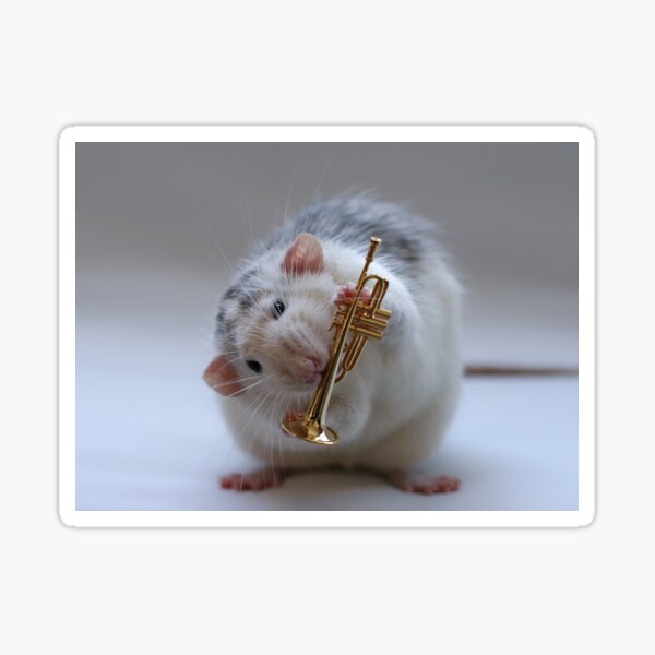 Rat Trumpet Music Musician Gifts & Merchandise | Redbubble
