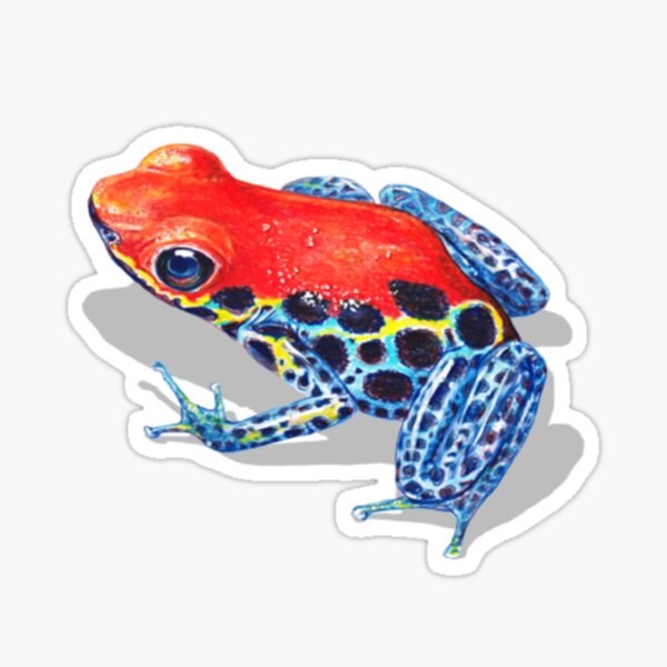 "Poison-arrow Frog" Sticker by pjlatasdvm | Redbubble