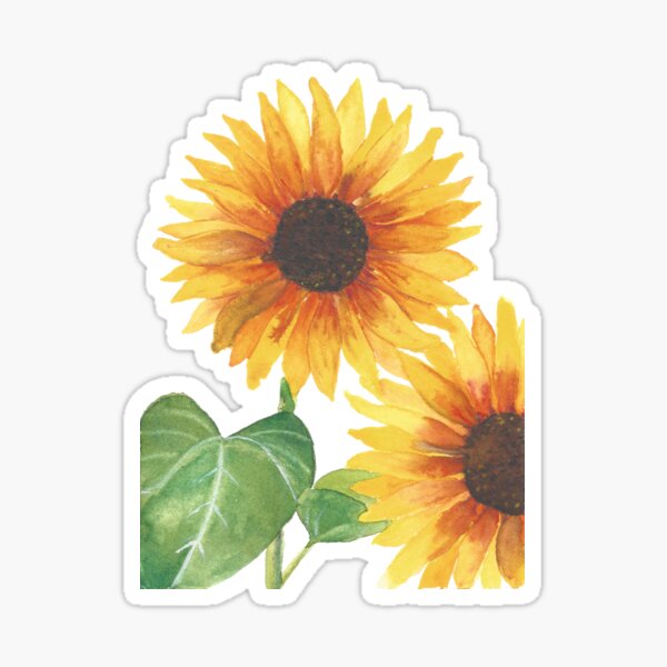 "Watercolor Sunflowers" Sticker by SharonRoseR | Redbubble