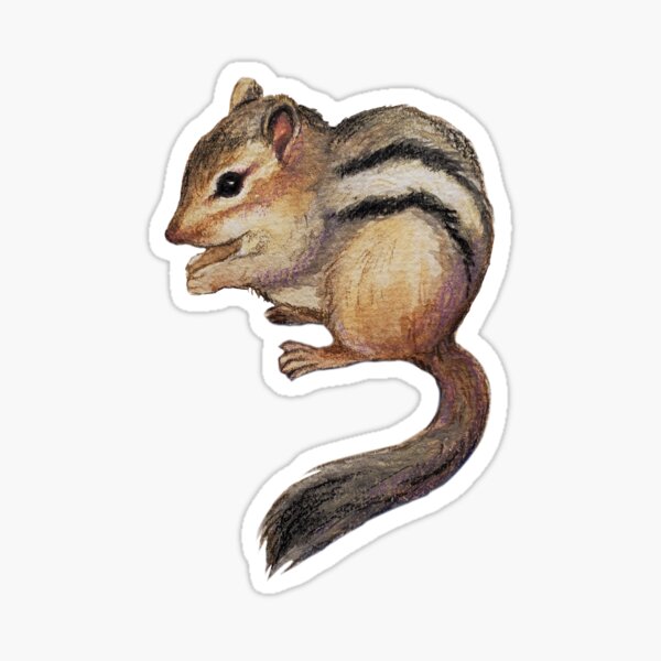 "Cute Chipmunk" Sticker by eleary | Redbubble