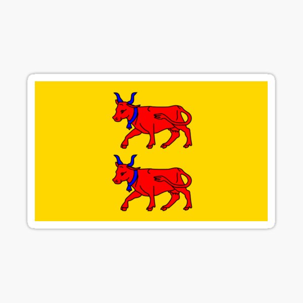 "Flag of the Viscounty of Béarn" Sticker for Sale by Shav | Redbubble