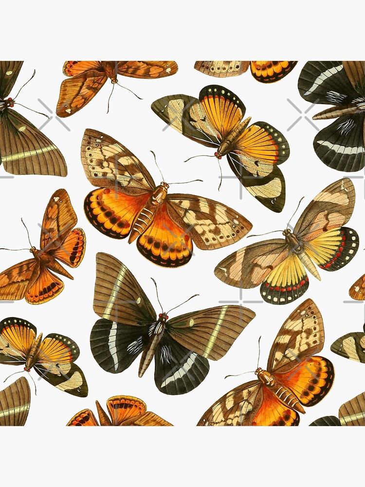 "Cottagecore aesthetic moth vintage pattern" Sticker for Sale by ...