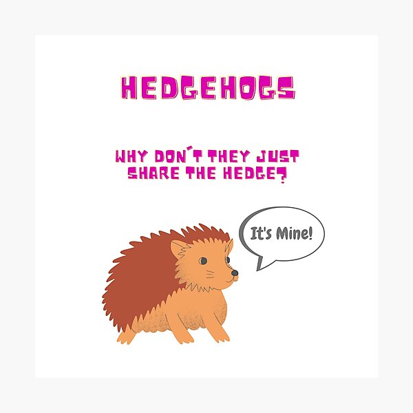 Lámina fotográfica «Erizos, ¿por qué no comparten la broma del meme de ...