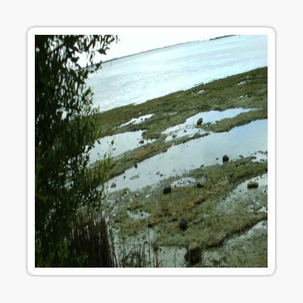 "BAHAMAS COASTAL MANGROVE SEA ROCKS AND SEA" Sticker by Jessie025 ...