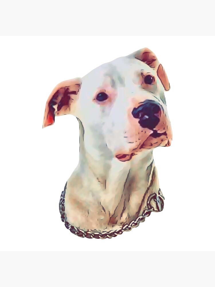 Lámina metálica «Diseño de cabeza de Dogo Argentino de dibujos animados ...