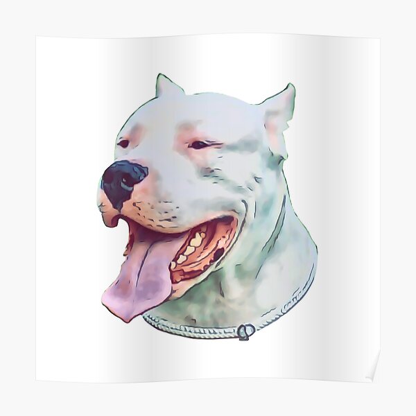 "Cartoon Dogo Argentino Head design" Poster by BayRosePets | Redbubble