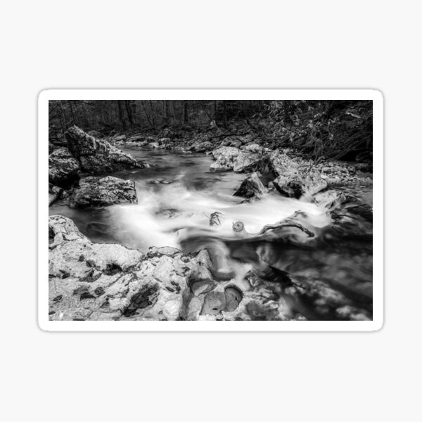 "Forest river" Sticker by PeterCseke | Redbubble