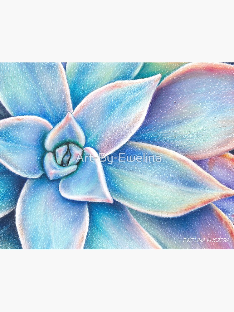 "Succulent - colored pencil drawing" Poster for Sale by Art-By-Ewelina ...