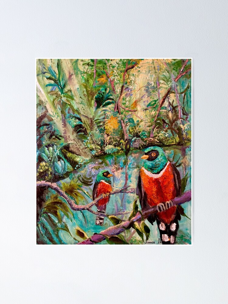 "Trogan in Ecuador" Poster for Sale by WildloveArt | Redbubble