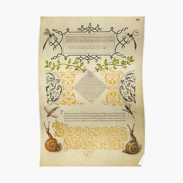 "Naturalist Manuscript Plants, Snails, and Calligraphy Illumination by ...