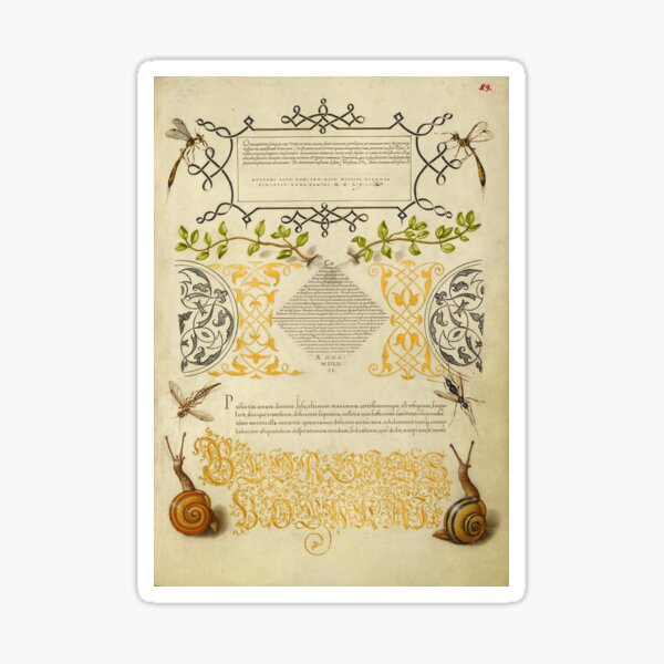 "Naturalist Manuscript Plants, Snails, and Calligraphy Illumination by ...