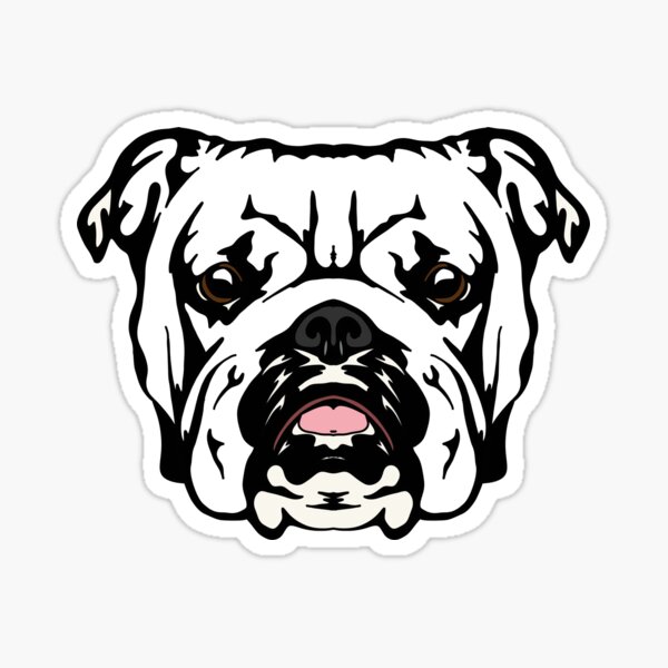 "White Boxer" Sticker by arisaidesigns | Redbubble
