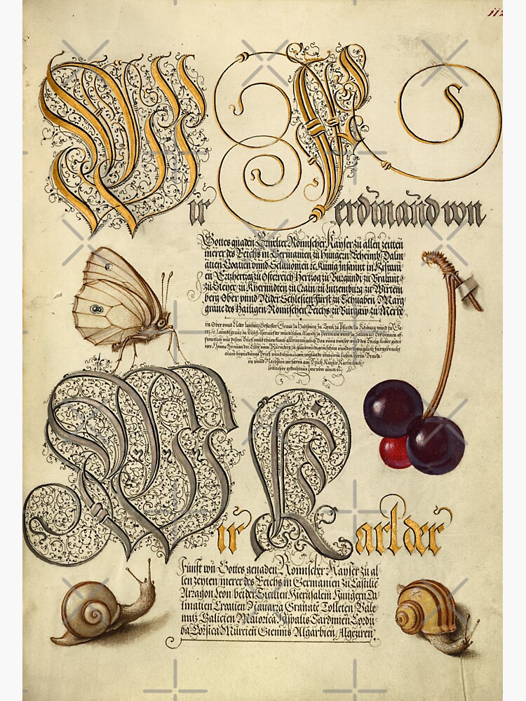 "Naturalist Manuscript: Snails, Cherries, and Calligraphy Illumination ...