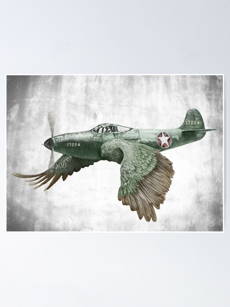 "It's a bird. It's a plane..." Poster for Sale by jamesormiston | Redbubble