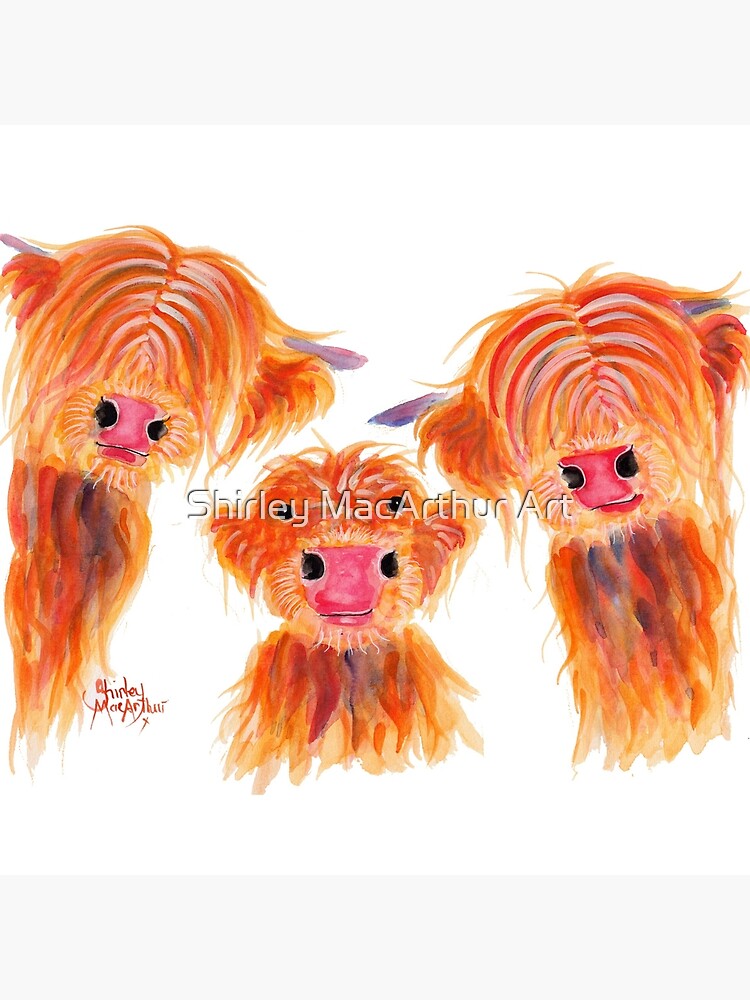 "Highland Cows 'The 3 Waldos' by Shirley MacArthur" Art Print for Sale ...