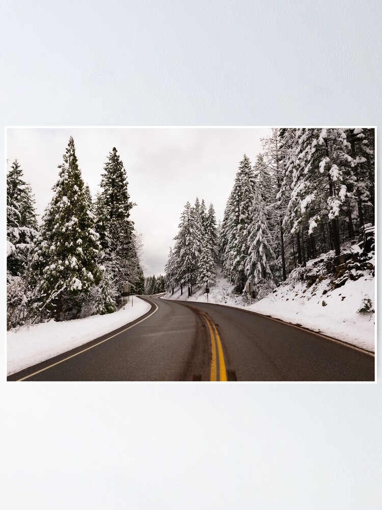 "Forest Highway" Poster for Sale by OrcaNature | Redbubble