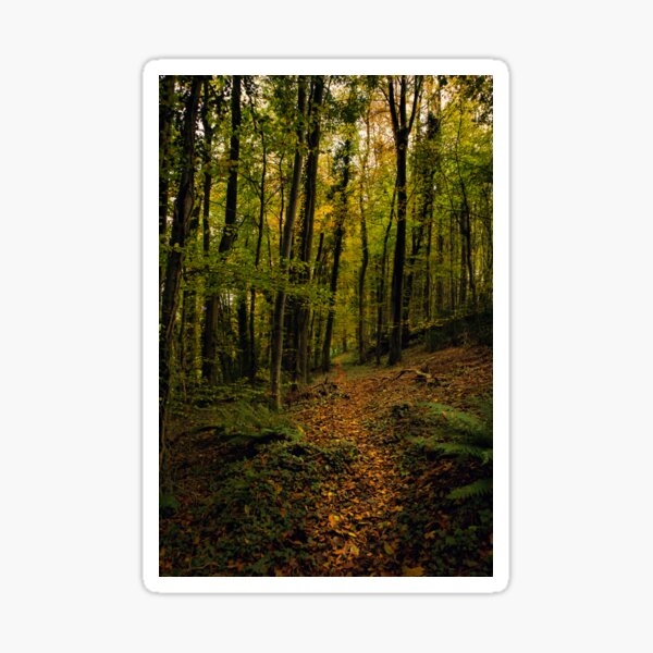 "The path" Sticker for Sale by BrixhamArt | Redbubble