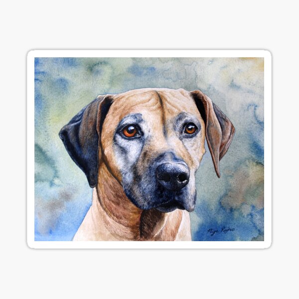 "Rhodesian Ridgeback Portrait" Sticker for Sale by PaigeRajnus | Redbubble