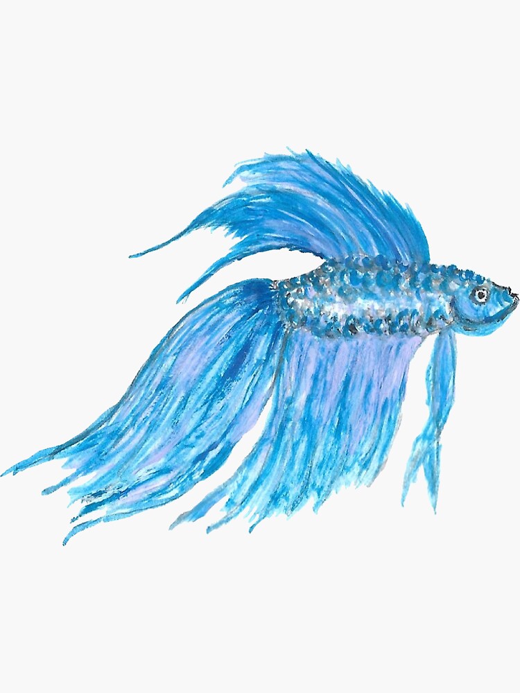 "Blue Beta Fish Acrylic" Sticker for Sale by scallionpancake | Redbubble