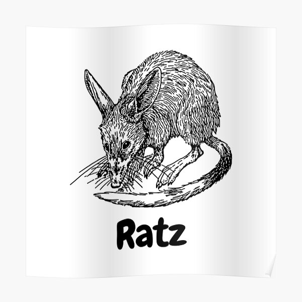 "Ratz | Ratz pink meme" Poster by areebloby1 | Redbubble