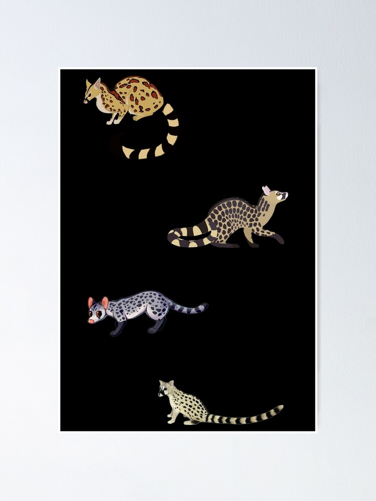 "Genet pack" Poster for Sale by sid1497 | Redbubble