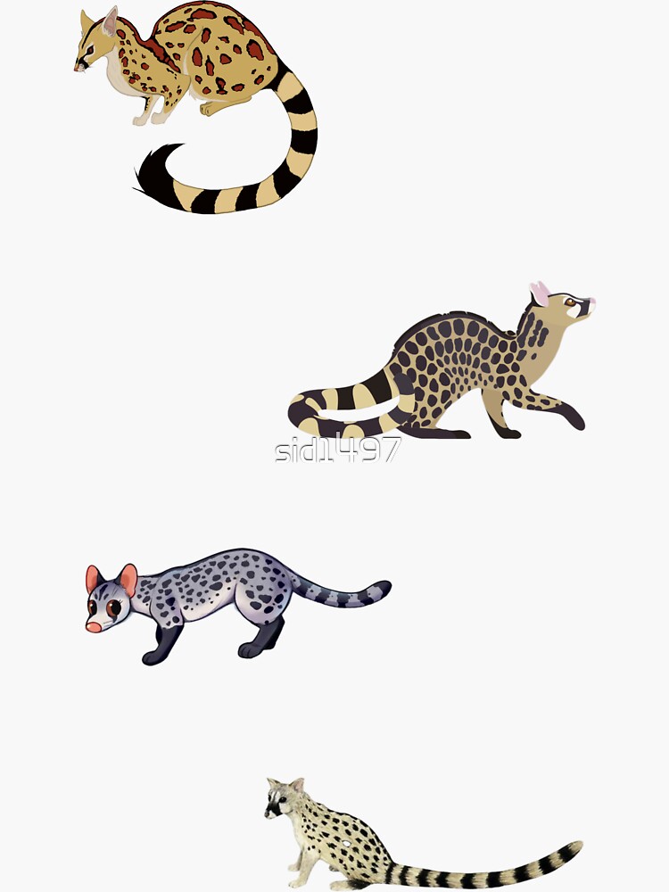 "Genet pack" Sticker for Sale by sid1497 | Redbubble