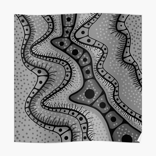 "Cells and tissues" Poster for Sale by Osher-BioArt | Redbubble