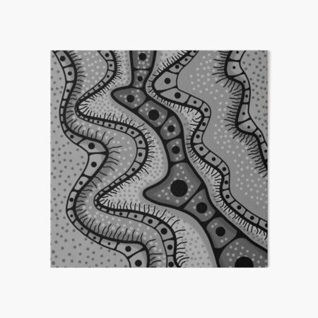 "Cells and tissues" Art Board Print for Sale by Osher-BioArt | Redbubble