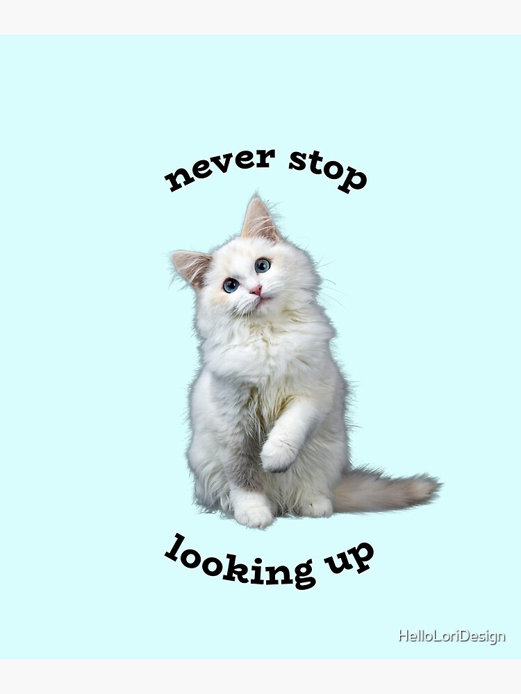 "Never Stop Looking Up" Poster for Sale by HelloLoriDesign | Redbubble