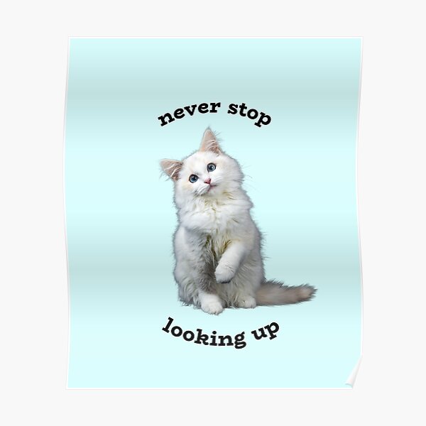 "Never Stop Looking Up" Poster for Sale by HelloLoriDesign | Redbubble