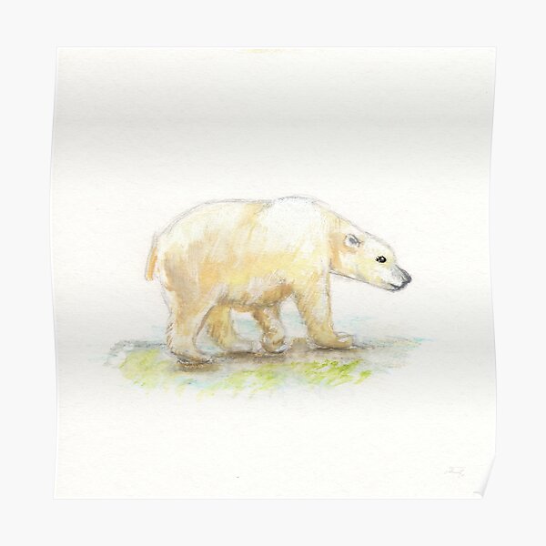 "polar bear" Poster for Sale by ansho | Redbubble