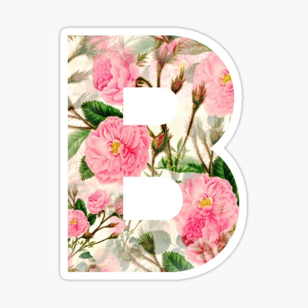 "Vintage Wild Pink Roses, Rose Buds and Leaves Letter B . Beautiful ...
