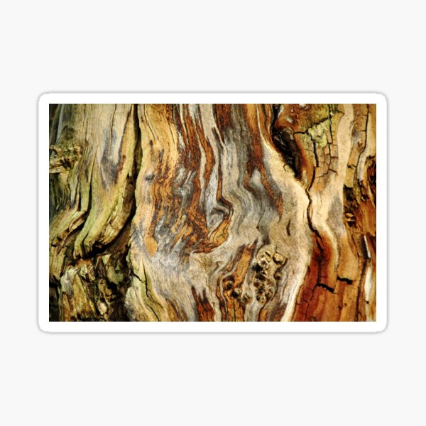 "Colors Of Bark" Sticker by debop | Redbubble