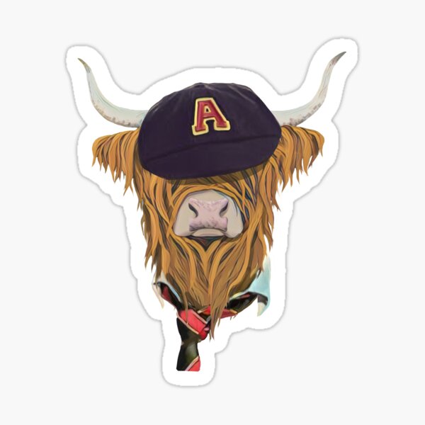 "Angus cow " Sticker by Tazbandicoot | Redbubble