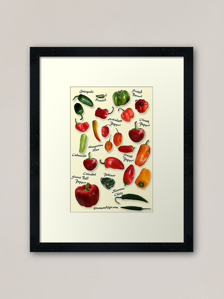 "Chili Pepper Identification" Framed Art Print for Sale by Dreambarks ...