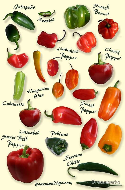  Chili Pepper Identification Posters By Dreambarks Redbubble