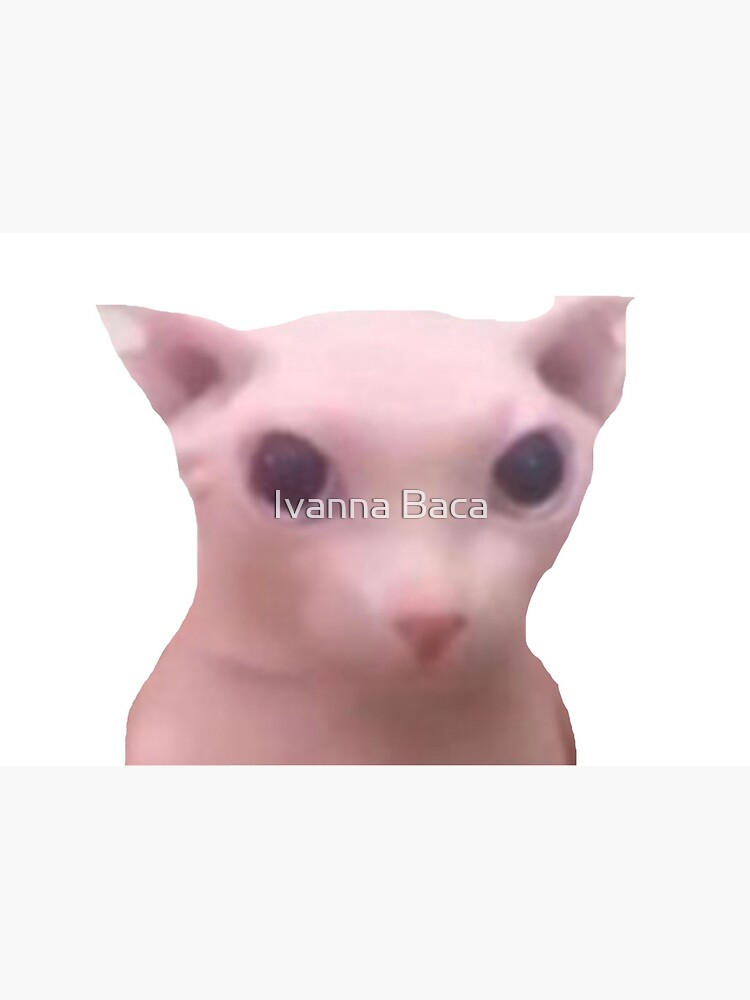 "Bingus " Sticker by blah707 | Redbubble