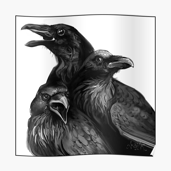 "Murder of Crows" Poster for Sale by Anqi-Art | Redbubble
