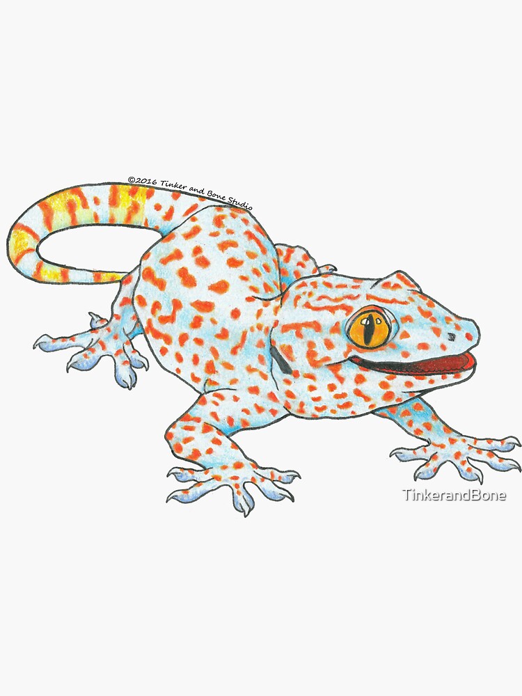 "Light Blue Tokay Gecko" Sticker for Sale by TinkerandBone | Redbubble