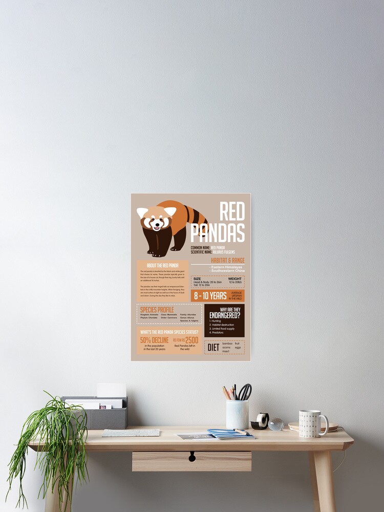 "Red Panda Infographic" Poster for Sale by Luan Huynh | Redbubble