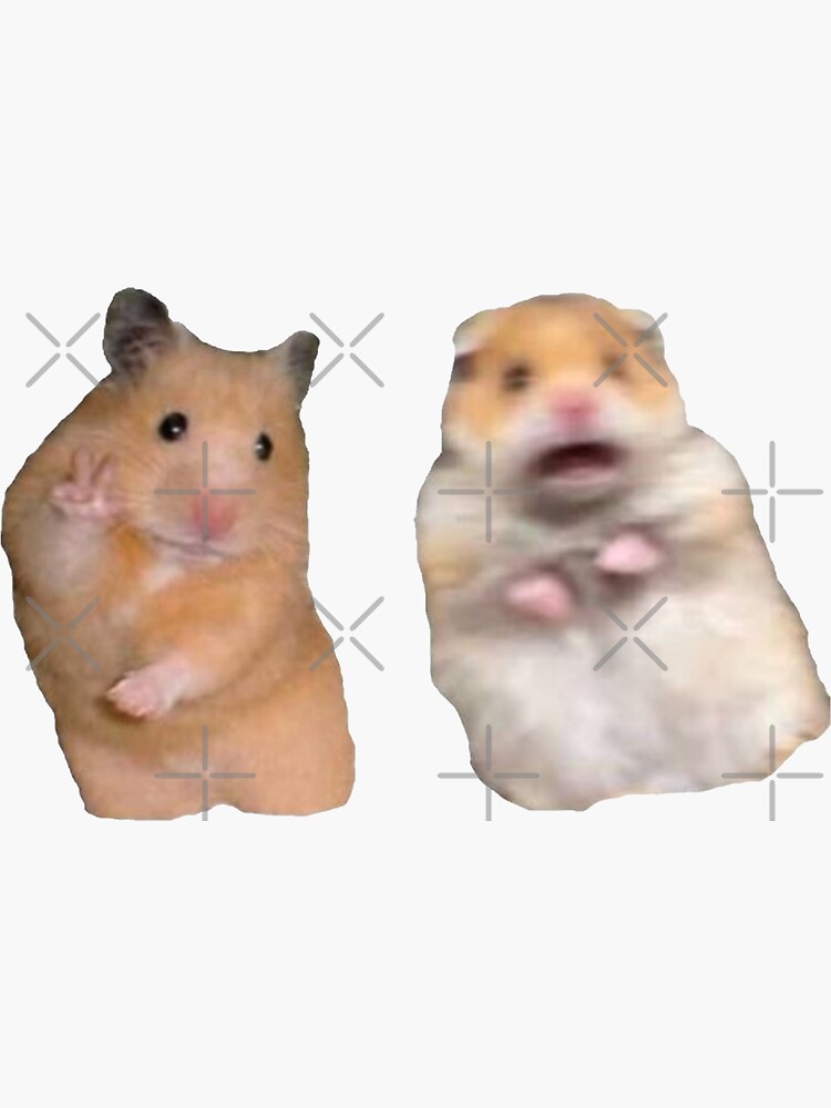 Pegatina «Meme divertido signo de la paz y hámster gritando» de Memes ...