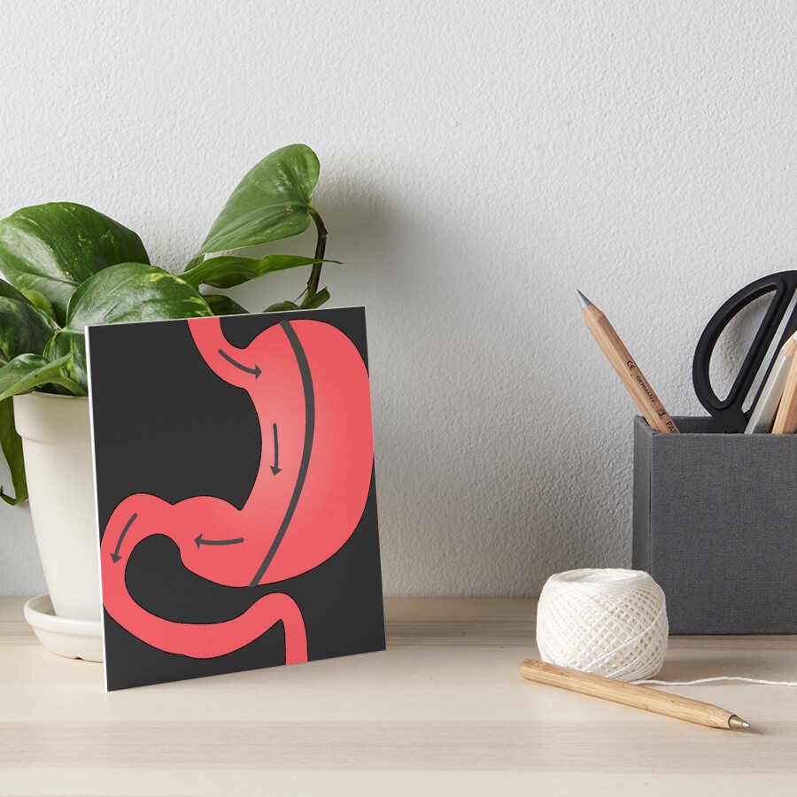 "Stomach" Art Board Print by youthmanner | Redbubble