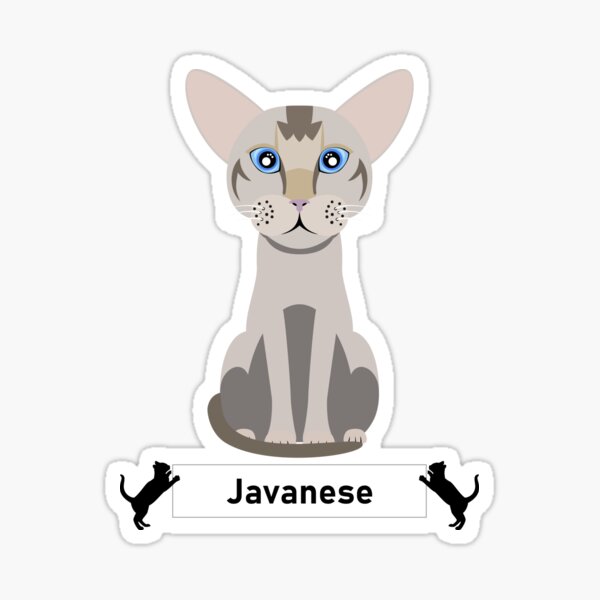 "Javanese Cat Breed - Cartoon Art Style" Sticker for Sale by EdKid ...