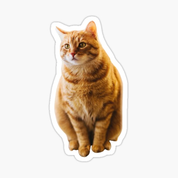 "Ginger cat" Sticker by Eiriksson | Redbubble