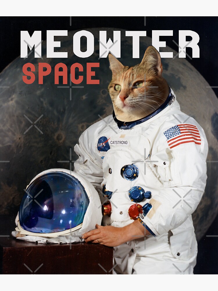"Meowter Space" Sticker by stayrad | Redbubble