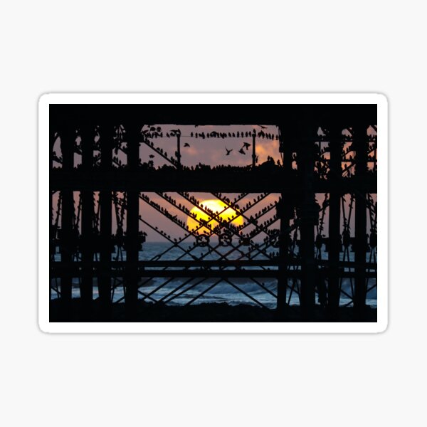 "Sundown" Sticker by GreyFeatherPhot | Redbubble