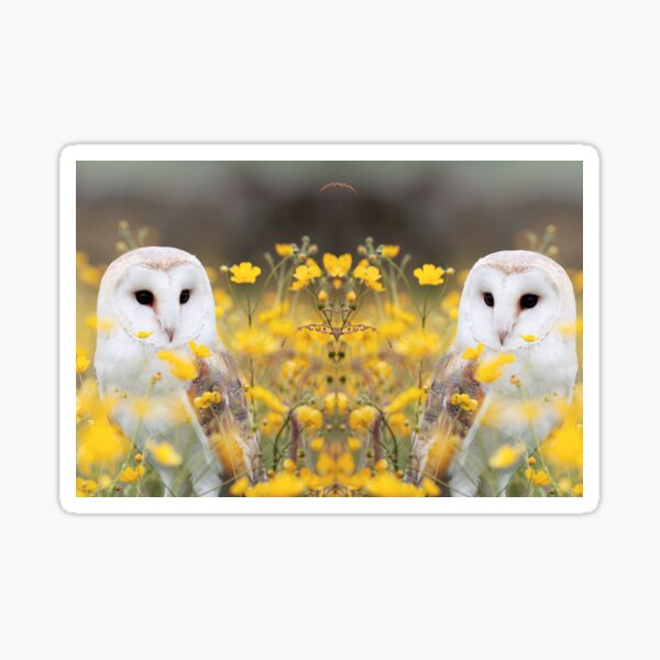 "White Owl - yellow flowers " Sticker by Spasija | Redbubble