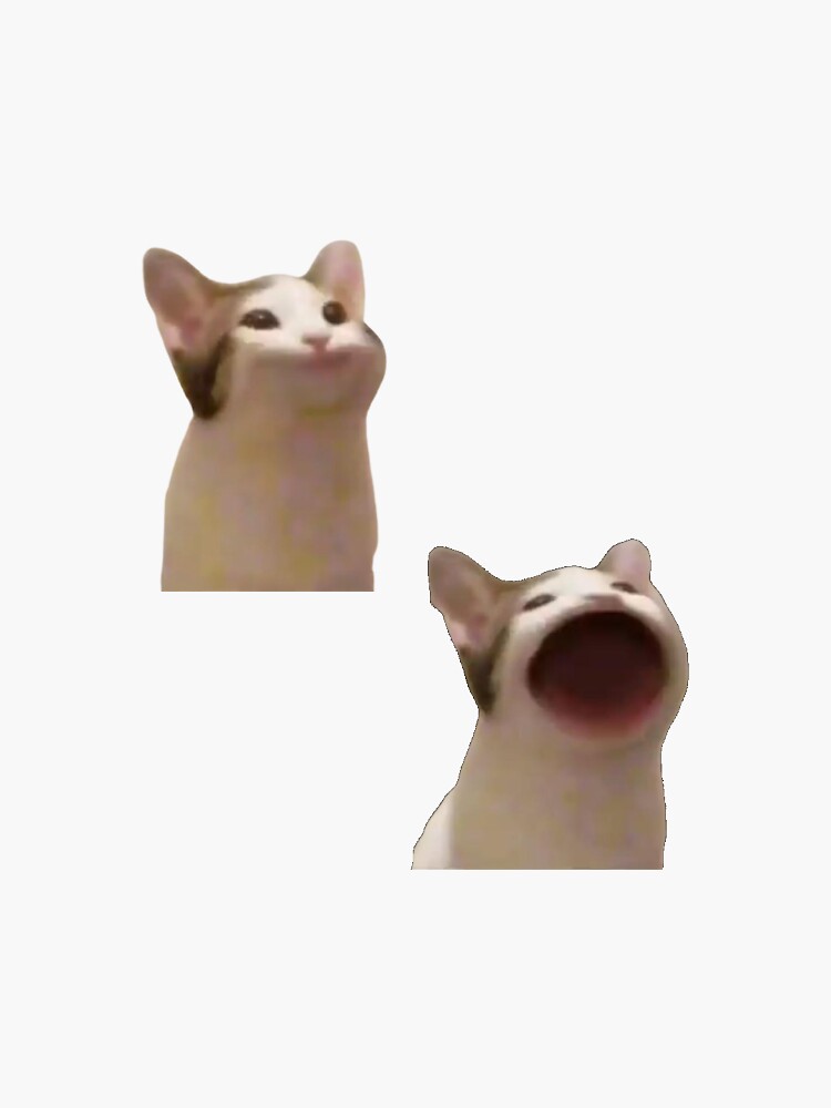 "Popcat Sticker Pack" Sticker for Sale by Peeshes | Redbubble